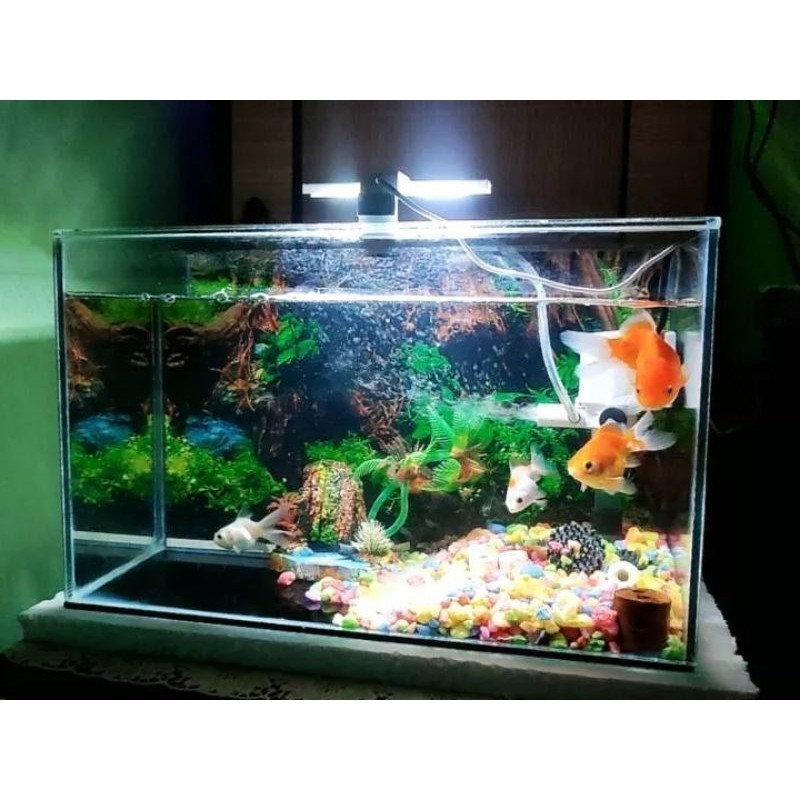 Jual Lampu LED AQURIUM AQUASCAPE TETRARIUM LED SOLITER AKUARIUM LED ...