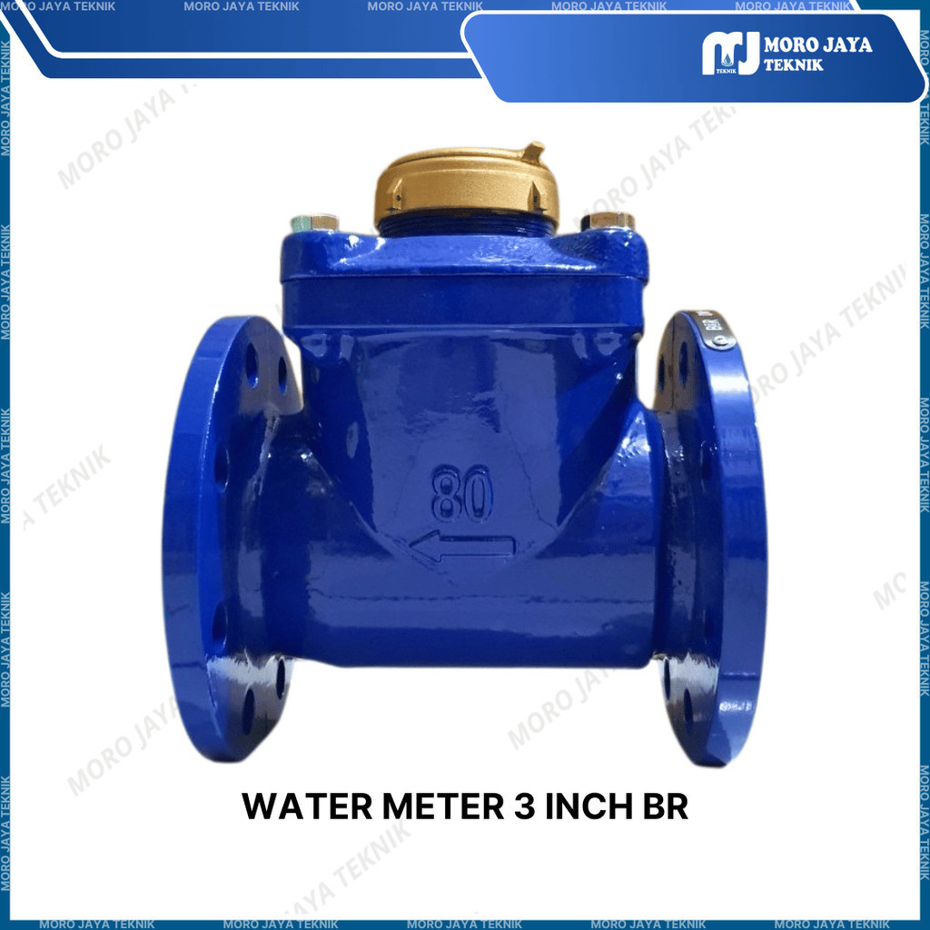 Jual Water Meter 3 Inch BR - Meteran Air - Flow Meter Tera - Kalibrasi ...