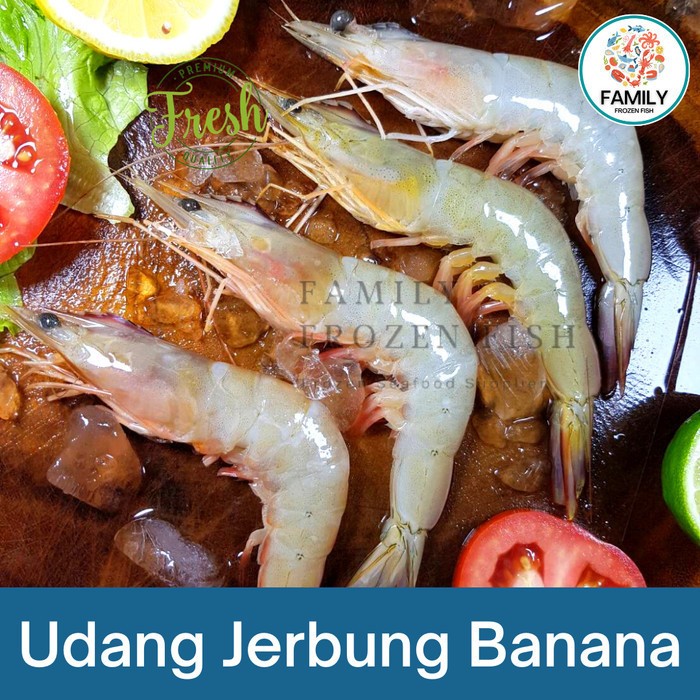 Jual Udang Jerbung Jumbo | Udang Besar Segar Premium Quality | Shopee ...
