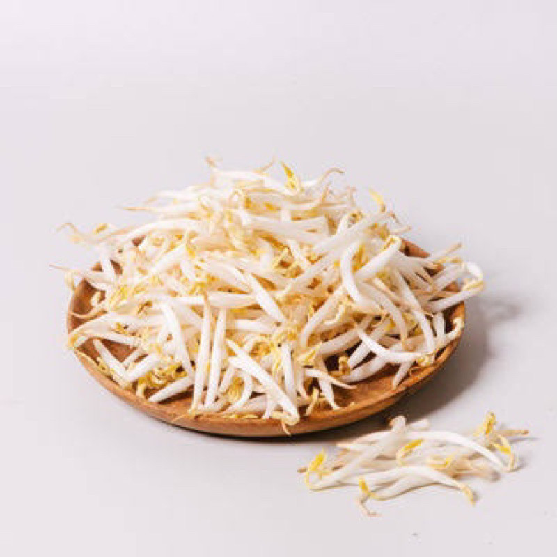 Jual Tauge Panjang / Kecambah Panjang / Toge Panjang 500gr - Sayur ...