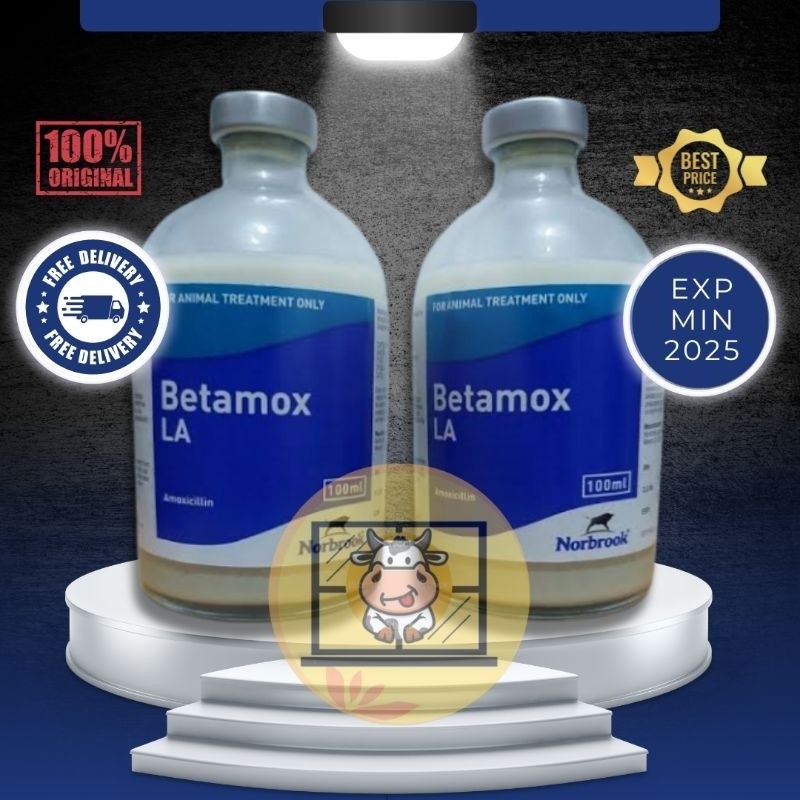 Jual Betamox LA 100ml - Antibiotik Untuk Pencernaan Pada Hewan | Shopee ...