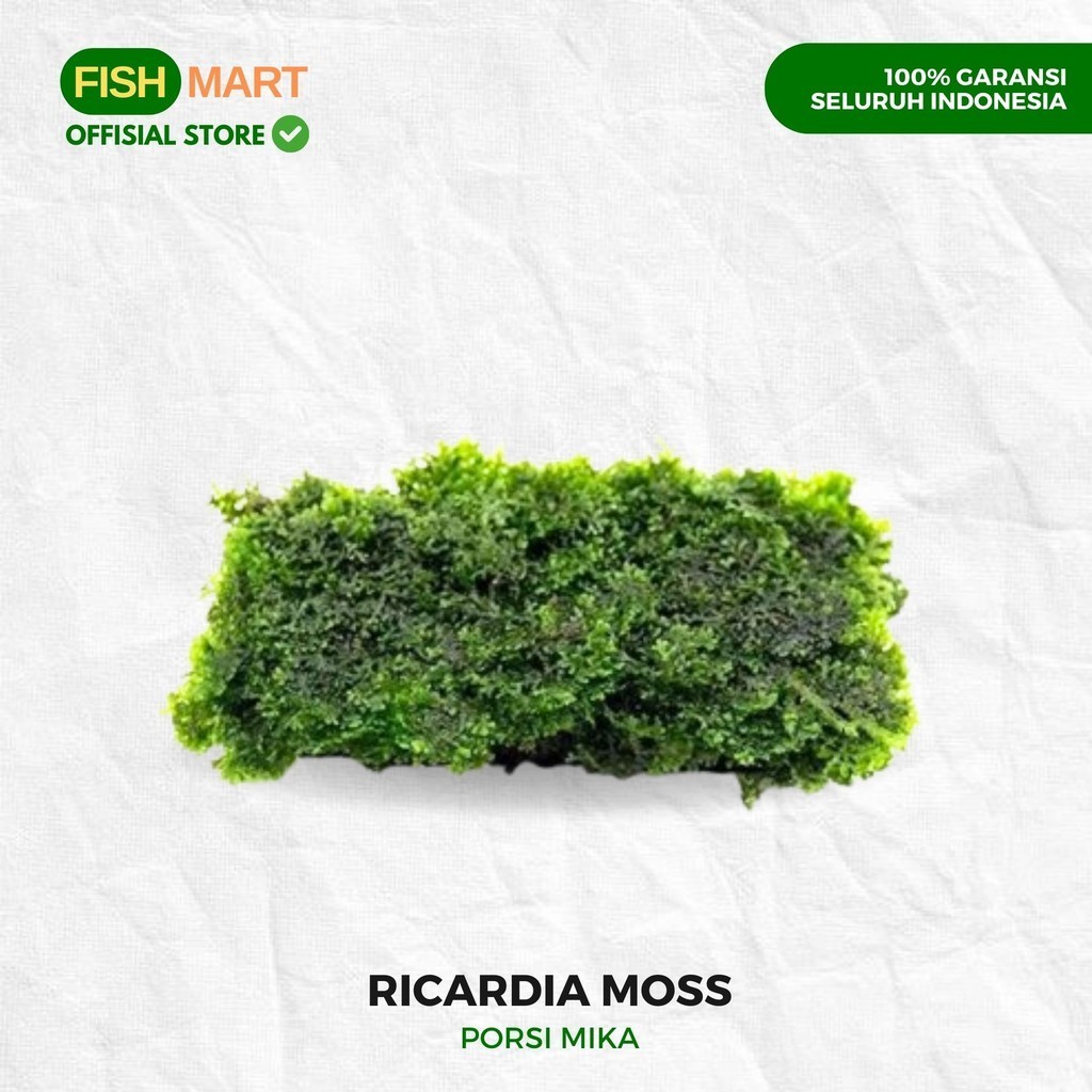 Jual Moss Ricardia Clump Tanaman Tumbuhan Aquascape Aquarium Akuarium ...