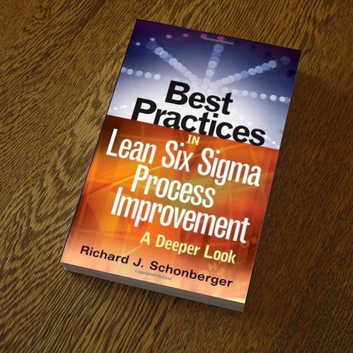 Jual Best Practices in Lean Six Sigma Process Improvement (BOOKS ...