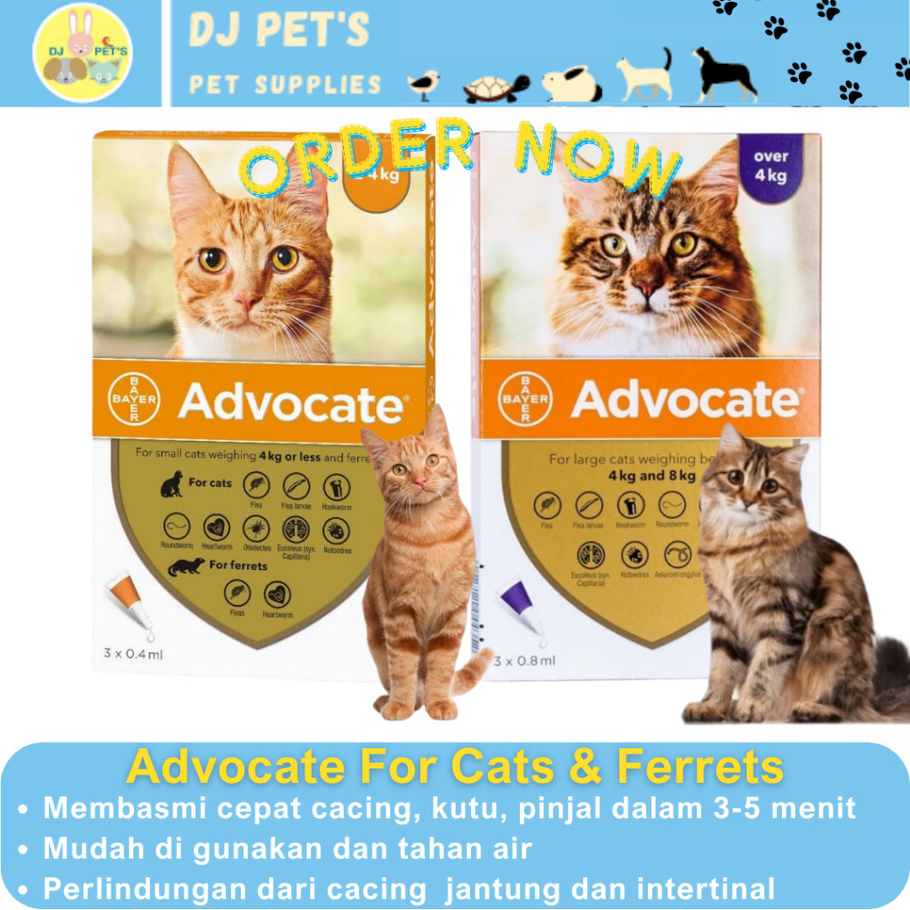 Jual Advocate Cat 1 Tube Obat kutu cacing dan pinjal kucing spot on ...