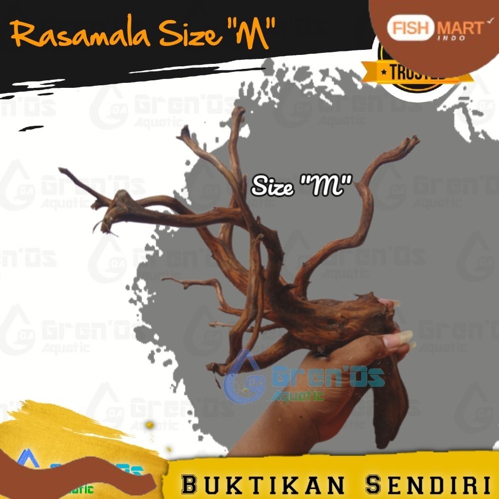 Jual Kayu Rasamala Size M Aquarium Aquascape | Shopee Indonesia