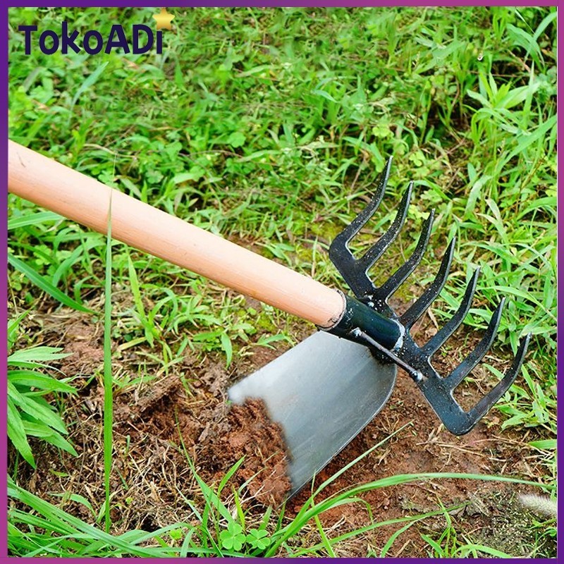 Jual 2in1 Cangkul Galvanis Garukan Tanah Kuat Anti Copot Alat Penyiang ...