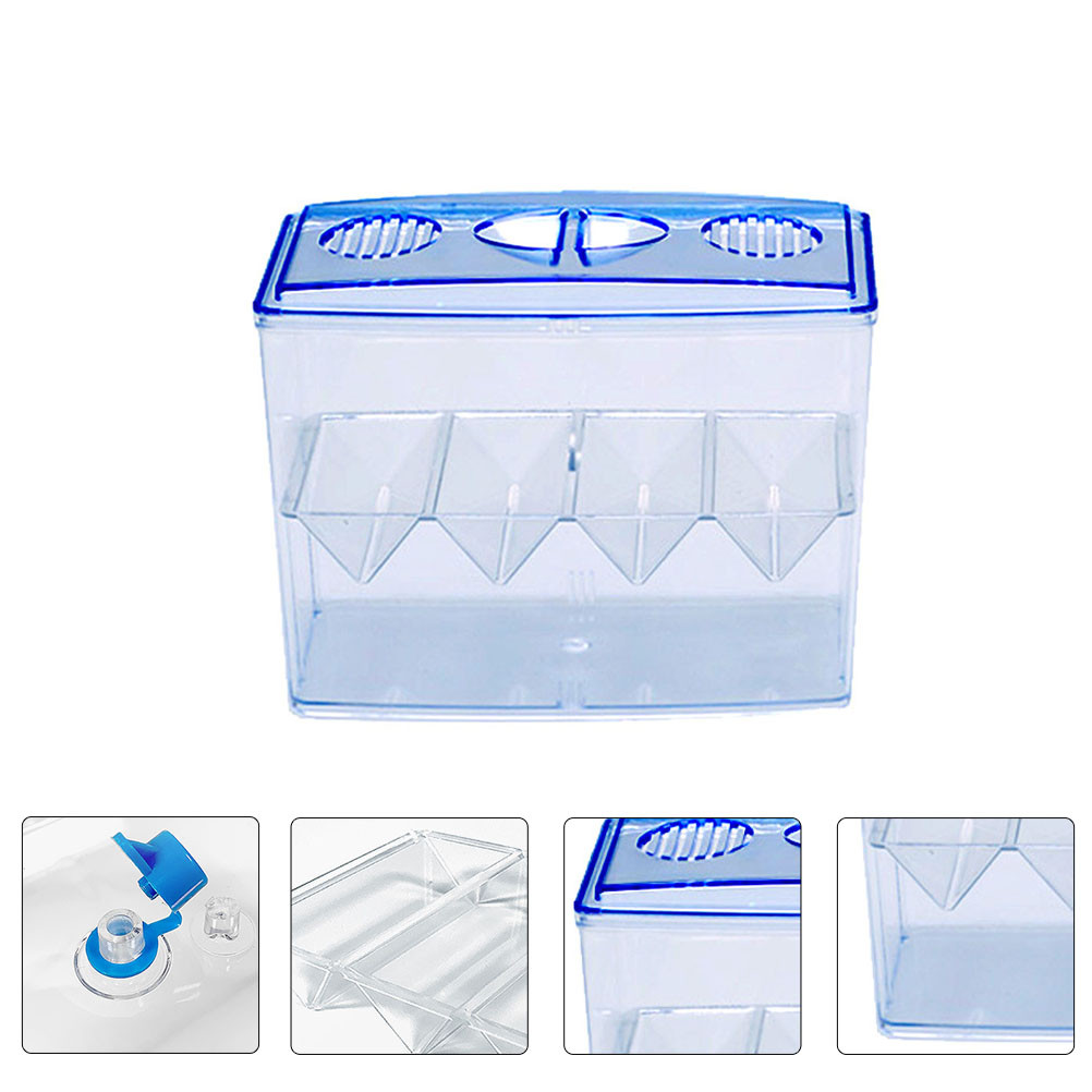 Jual Fish Hatching Box Tanks Incubator Aquarium for & Bowls Aqaurium ...