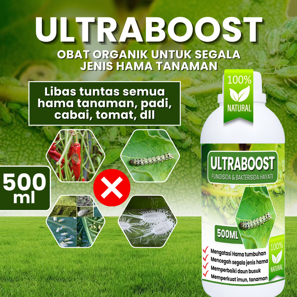 Jual OBAT HAMA ULAT PADI SUNDEP BELUK isi 500 ML ULTRABOOST - Obat Hama ...