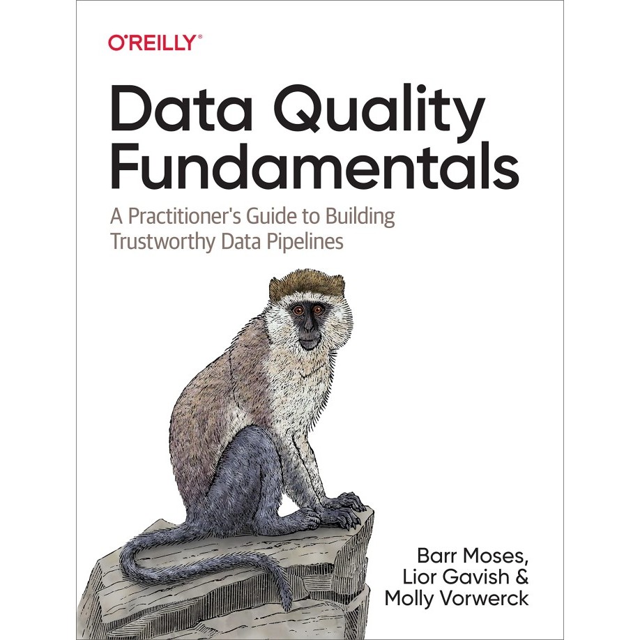 Jual Data Quality Fundamentals: A Practitioner's Guide to Building ...