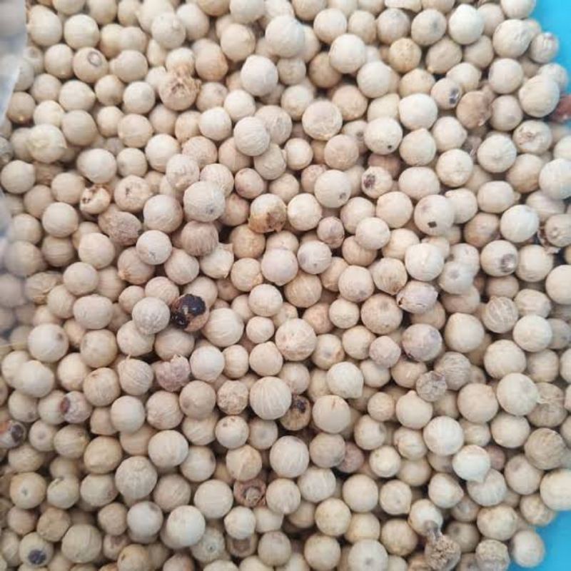 Jual Lada Merica Putih - FDY | Shopee Indonesia