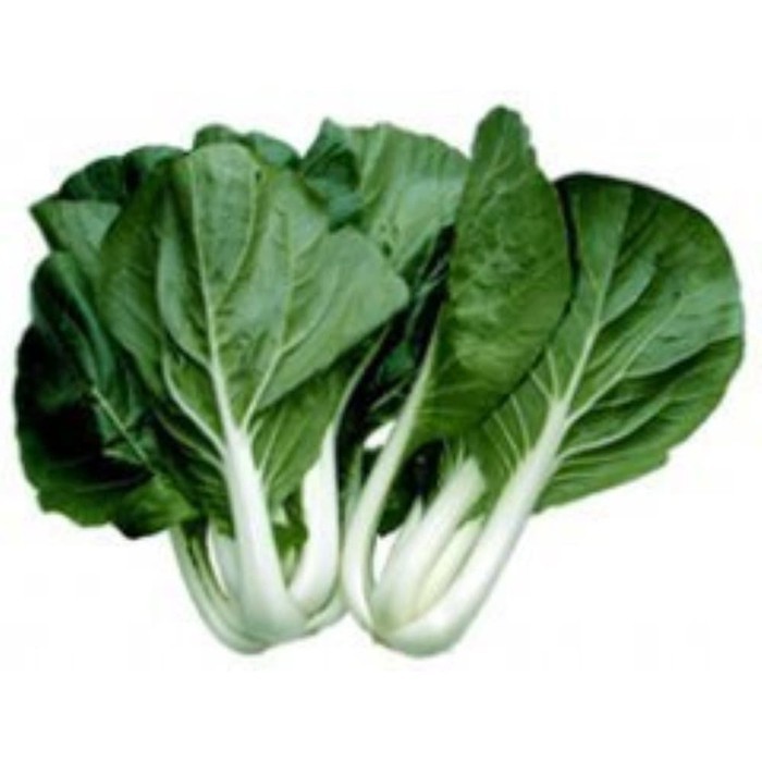 Jual GIFT Benih Pak Choi White Stem Haira Seed PokChoi Pakcoy Coy Choy ...