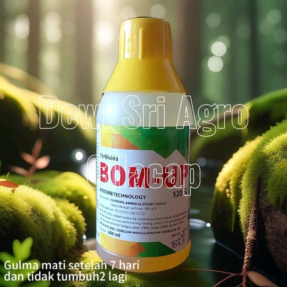 Jual Obat Rumput Permanen Bom Up 520 SL kemasan 200 ml | Shopee Indonesia