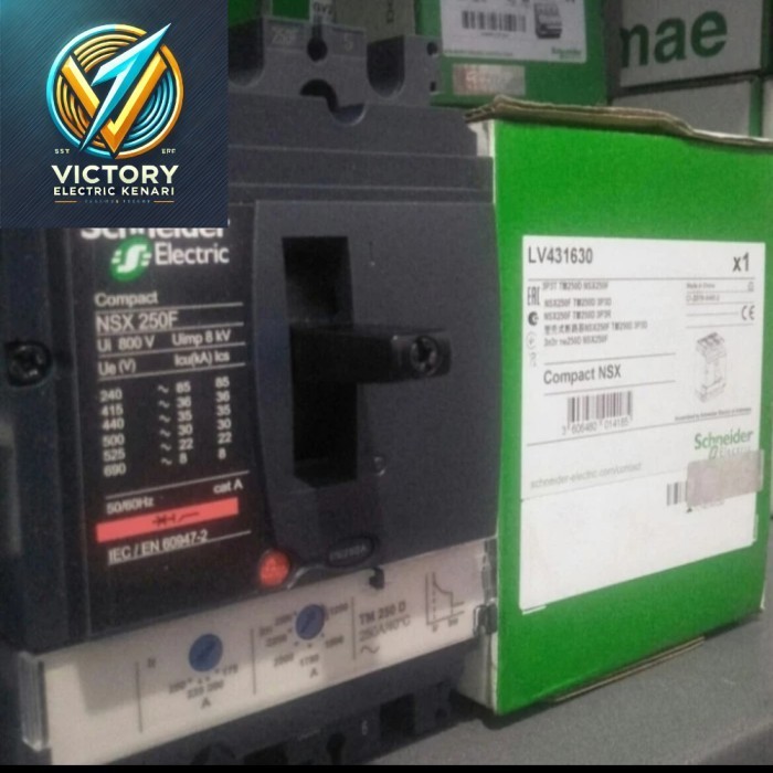Jual MCCB Molded Case Circuit Breaker NSX 3P (3 kutub) 125A,200A,250A 250F SCHNEIDER | Shopee ...