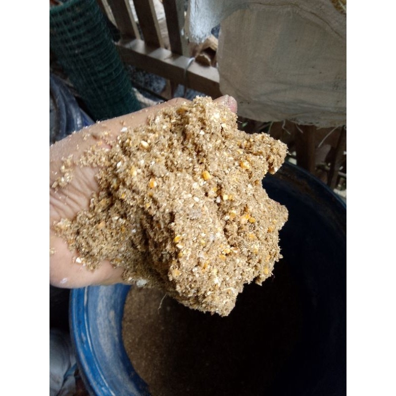 Jual IMDA HANDICRAFT Paket 50 kg Pakan Ternak Ayam Fermentasi SOD JAGUNG BEKATUL Asam Amino ...