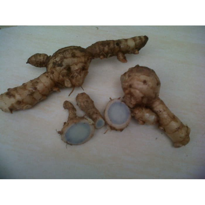 Jual Temu hitam segar 1 kg - temu ireng fresh | Shopee Indonesia