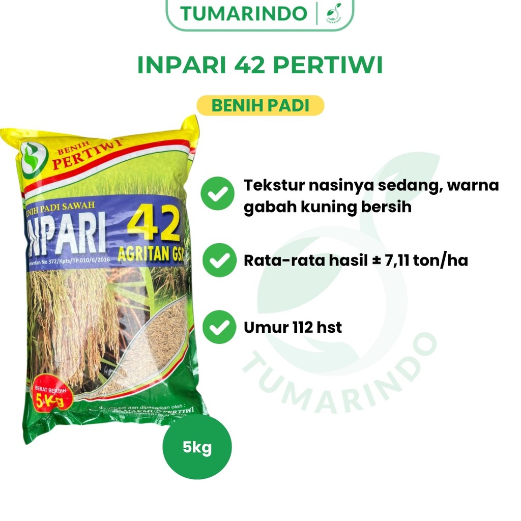 Jual Benih Padi Inpari 42 Pertiwi 5 Kg | Shopee Indonesia