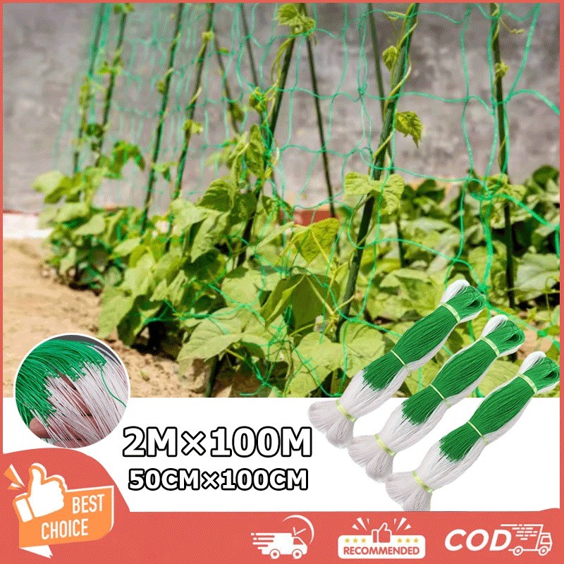 Jual 100M Jaring Net Rambatan Tanaman Kebun Tanaman Untuk Bertani Plant Climbing Net Climbing ...