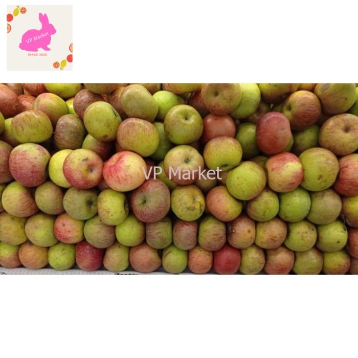 Jual Buah Apel Malang Fresh Garing 1 kg | Shopee Indonesia