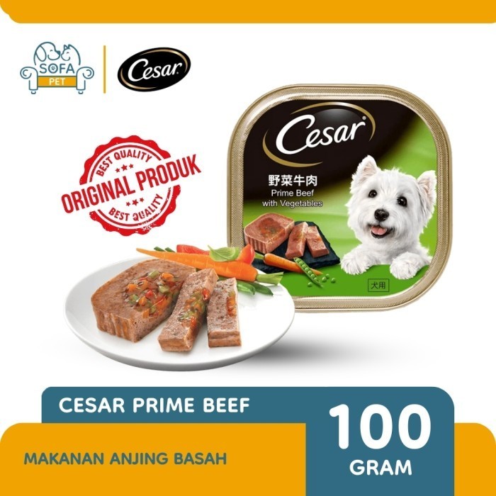 Jual Makanan Basah Anjing Wet Dog Food Cesar Prime Beef 100gr | Shopee ...