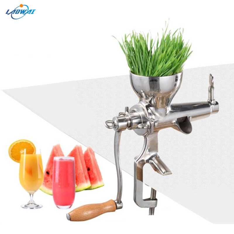 Jual Stainless Steel Wheatgrass Juicer Auger Slow Squeezer Fruit Wheat ...