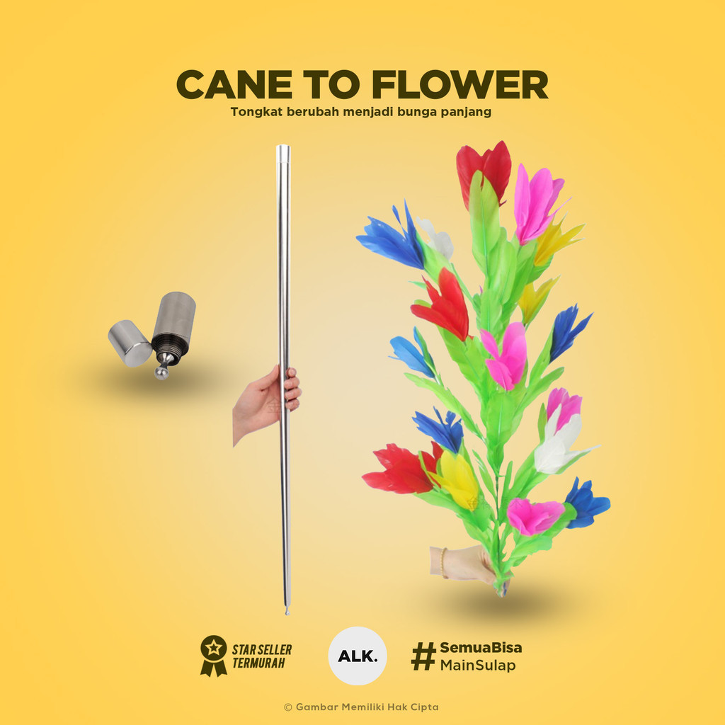 Jual Cane to flower - Flower magic - Sulap tongkat berubah jadi bunga ...