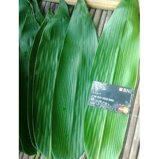Jual Daun Bambu segar Untuk Bungkus Bakcang 150 gram Kualitas Terbaik ...