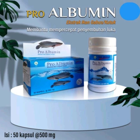 Jual Pro Albumin Kapsul Kutuk Ikan Gabus Membantu Penyembuhan Luka Luar Dalam Pasca Operasi ...
