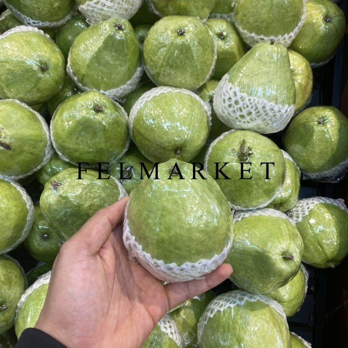 Jual Jambu Mutiara Taiwan Super / Buah Jambu Mutiara / 1 Kg | Shopee ...