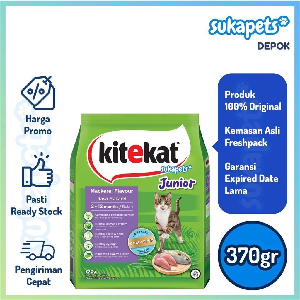 Jual Kitekat Junior Kitten Dry Food Mackerel Makanan Kucing Kering ...