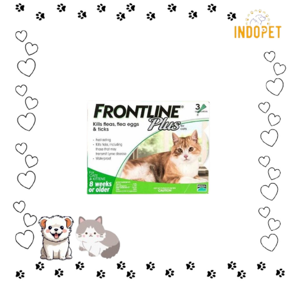 Jual FRONTLINE PLUS CAT KITTEN & CATS 8 WEEK OR OLDER | Shopee Indonesia