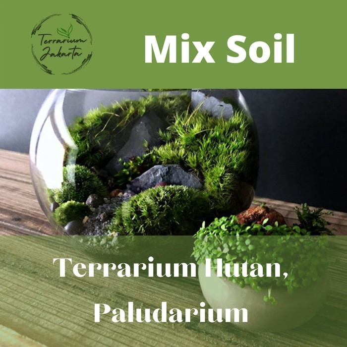 Jual Mix Soil | Media tanam terrarium Hutan | Media Tanam Paludarium | Shopee Indonesia