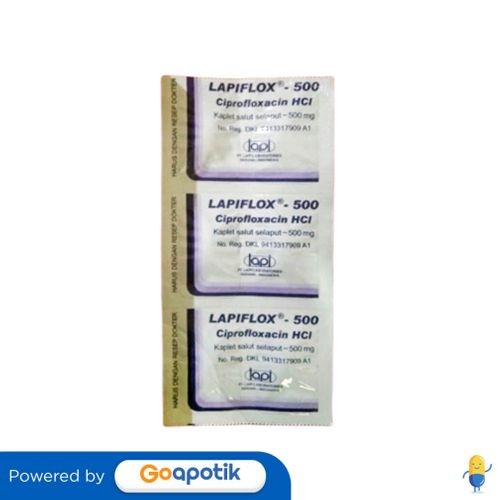 Jual Lapiflox 500 Mg Strip 6 Kaplet | Shopee Indonesia