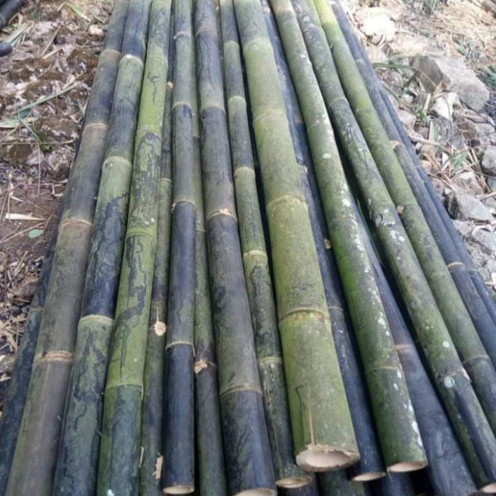 Jual bambu hitam 1 meter bahan anyaman | Shopee Indonesia