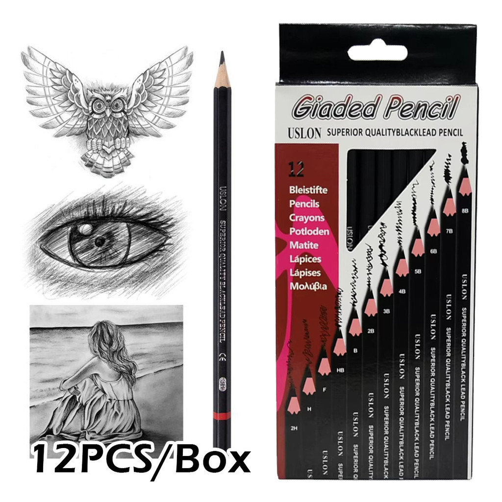 Jual 12pcs/set Pensil Buat Gambar lengkap Charcoal Sketsa Alat Pensil Charcoal Pensil Khusus ...
