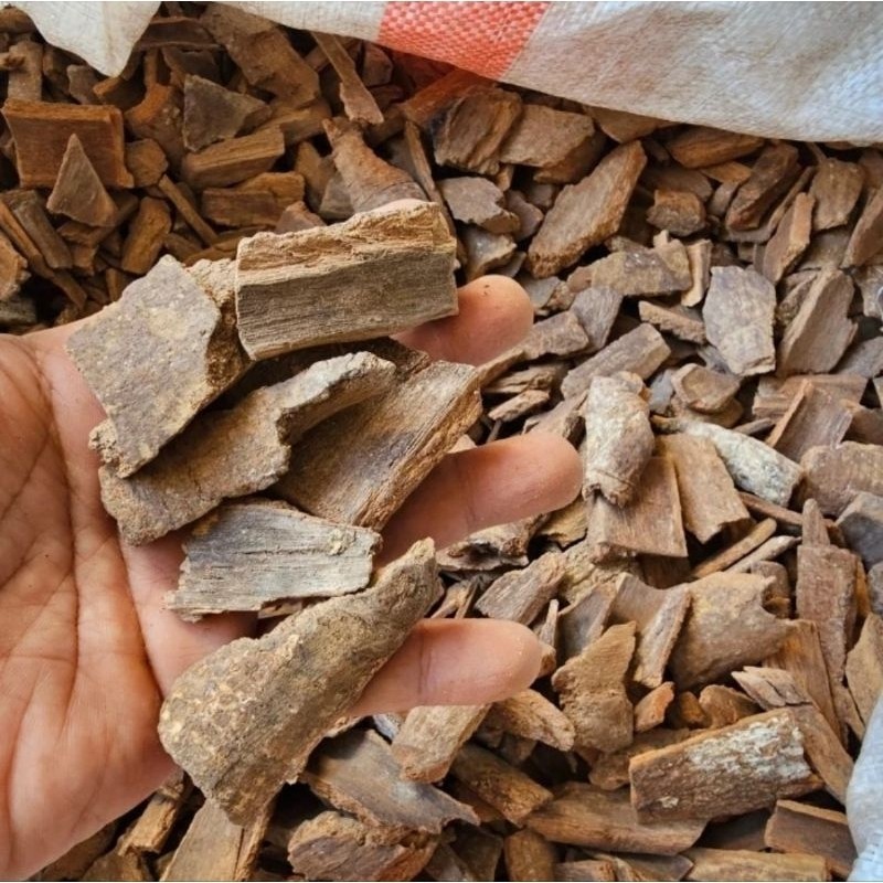 Jual Kulit Kayu Masoyi 1kg / Kulit Kayu Mesoyi / Kulit Kayu Masohi Asli ...