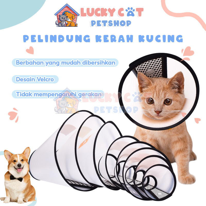 Jual Collar Kucing Pelindung Leher Kucing Anjing Anti-Gigitan Kerah ...