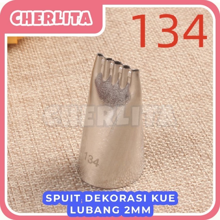Jual Spuit 134 Multi Opening Dekorasi Kue Garis Bulu Rumput Stainless ...