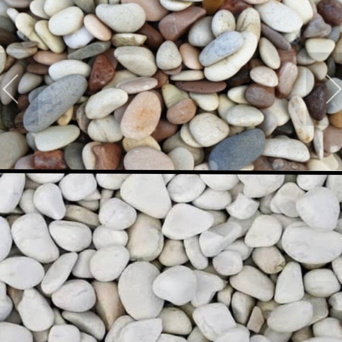Jual BATU TANAMAN HIAS 500 GRAM BATU PUTIH BATU PANCAWARNA | Shopee ...