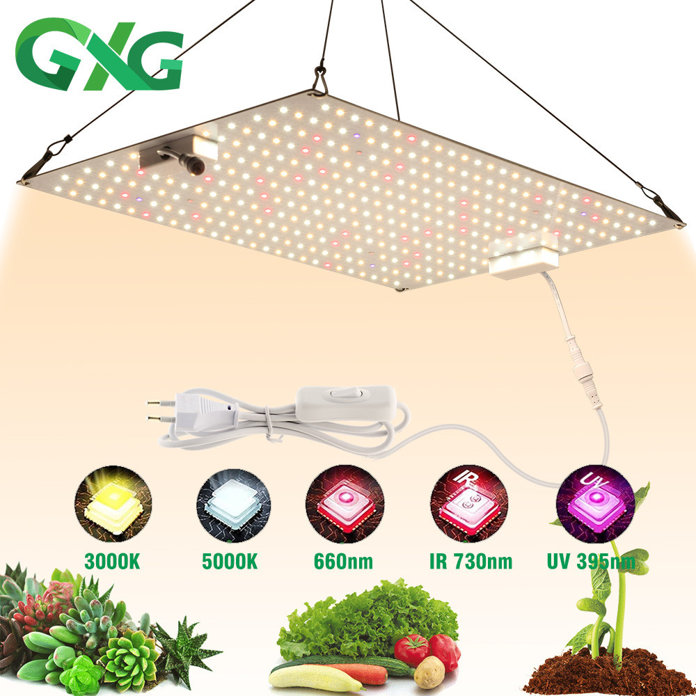 Jual Led Grow Light Samsung LM281B 220V 650W 1100W Plant Light Bulb ...