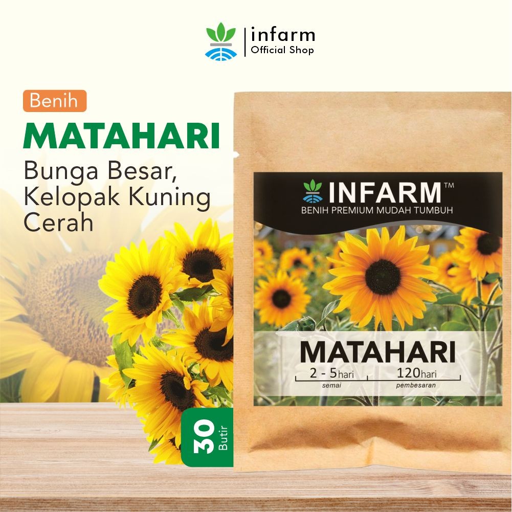 Jual INFARM - Benih Bibit Biji Super Bunga Matahari / Sunflower Isi 30 ...