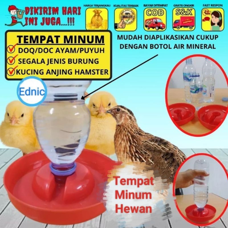 Jual ToDaRu- TEMPAT MINUM OTOMATIS DOC, DOD, DOQ UNGGAS PUYUH AYAM ...