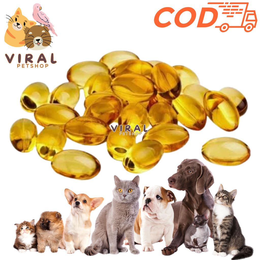 Jual ViraL PetShop Minyak Ikan 100 Butir Vitamin Kucing Anjing Musang Kelinci Hamster Burung ...