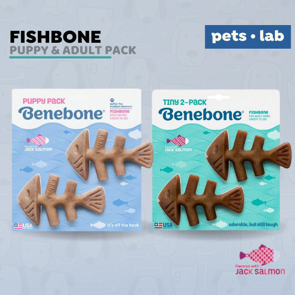 Jual Benebone Fishbone Tiny Puppy Pack Dog Dental Chew Anak Anjing ...