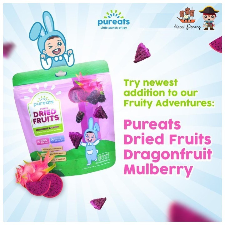 Jual Pureats Freeze Dried Fruits Dragonfruit Mulberry 17g | Shopee ...