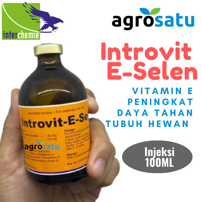 Jual Introvit E Selen Inj 100ml Vitamin Selenium Peningkat Daya Tahan ...