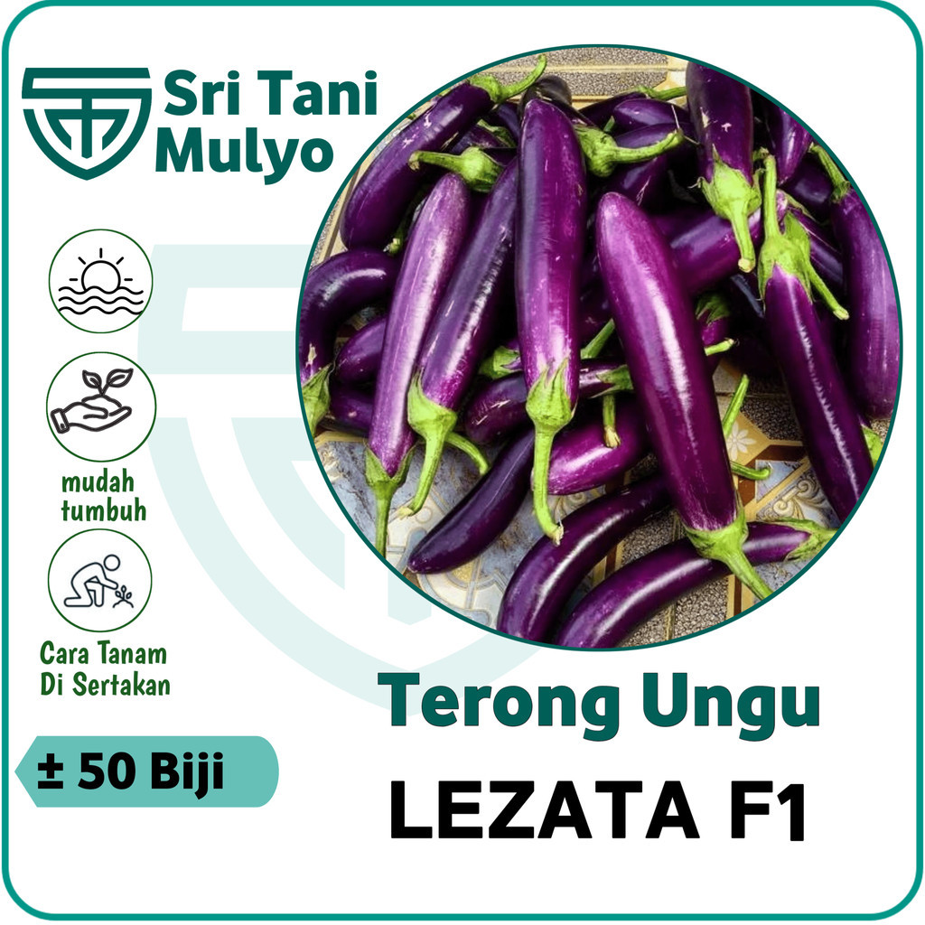 Jual 50 Biji - Benih Terong Ungu LEZATA F1 - unggul Cap Panah Merah Bibit Sayur Sayuran Antaboga ...