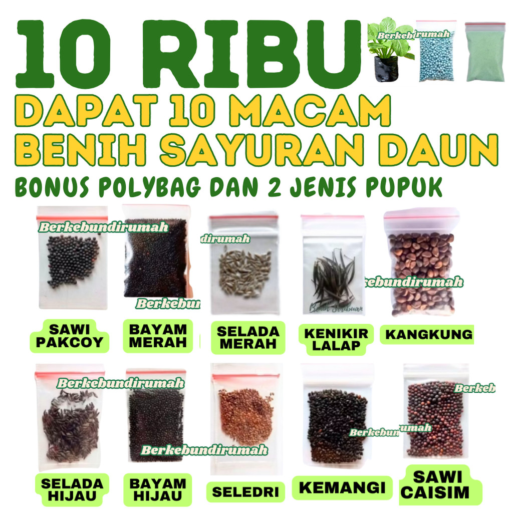 Jual Paket 10 Jenis Benih Sayuran Daun Bibit Sayuran Lengkap 10 Jenis ...