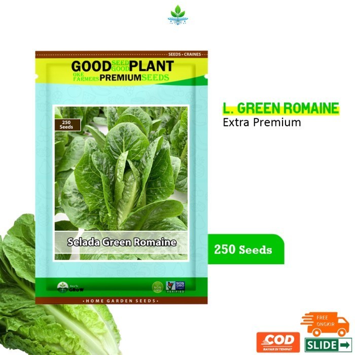 Jual Extra Premium - 250 Biji Benih Bibit Selada Green Romaine F1 | Shopee Indonesia