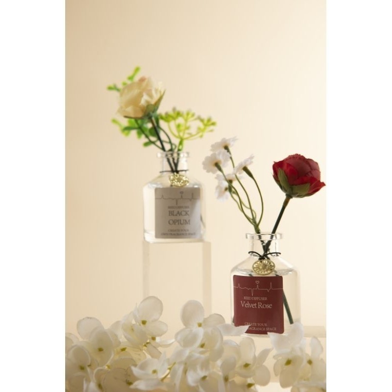 Jual REED DIFFUSER 50ML AROMA PARFUM PARIS REED DIFFUSER AROMATERAPI ...