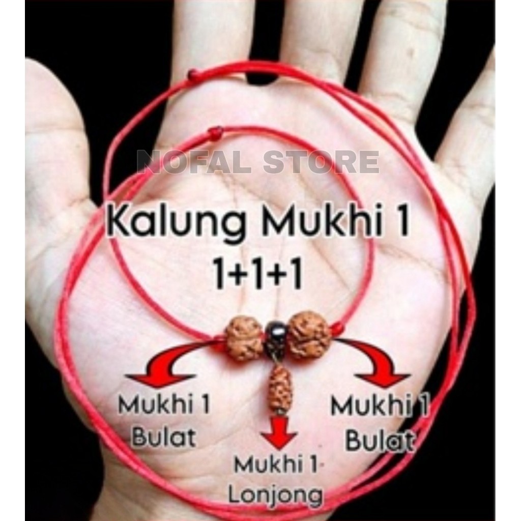 Jual GELANG KALUNG GENITRI JENITRI MUKHI 1 GARIS 1 RUDRAKSHA | Shopee ...